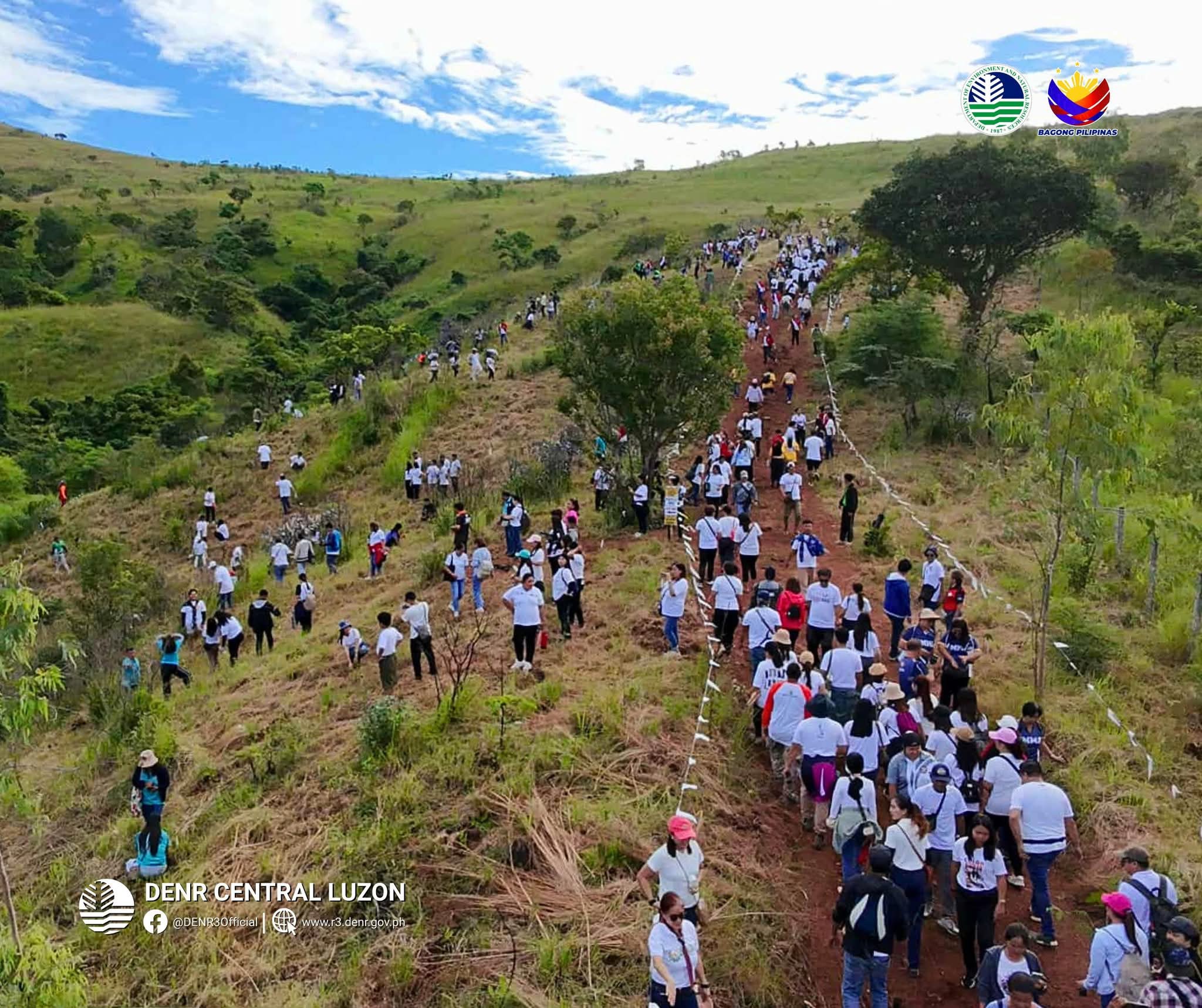 Over 1,600 state workers plant trees in Zambales - iOrbit News Online