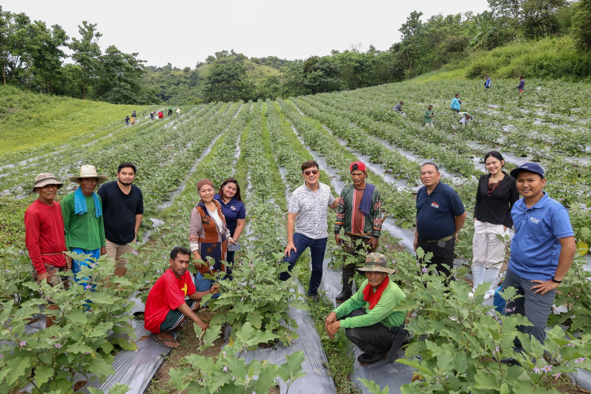 BCDA upskills indigenous farmers through Ayta Ethno Botanical Center in ...